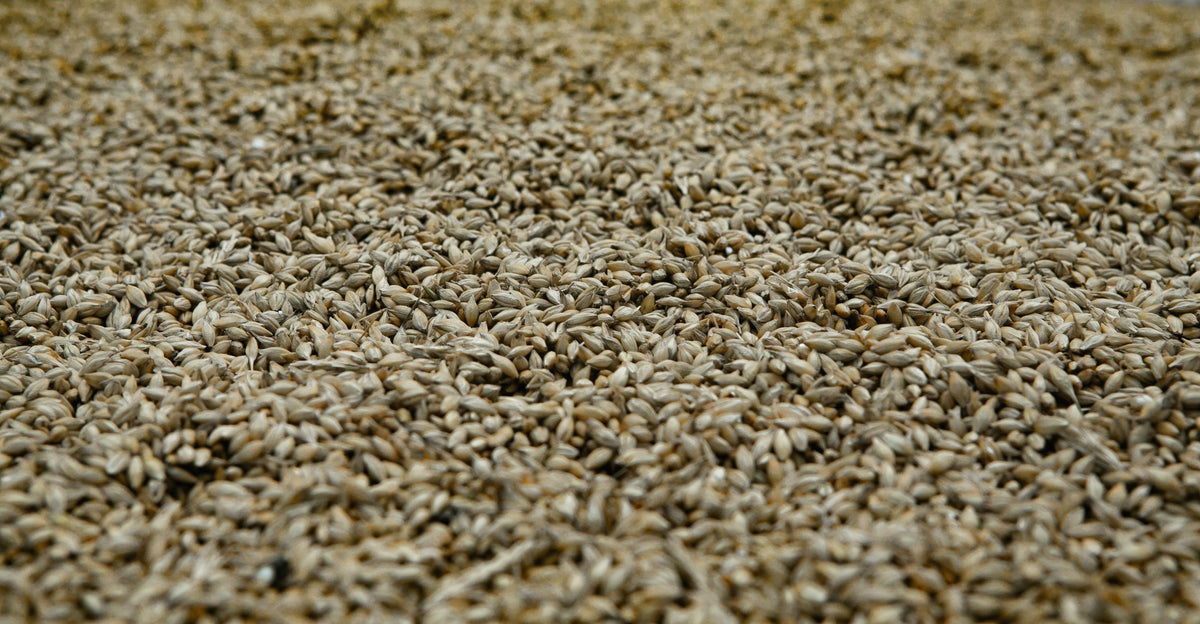 What Is a Mash Bill? 4-Grain & Other Combinations | Four Branches ...